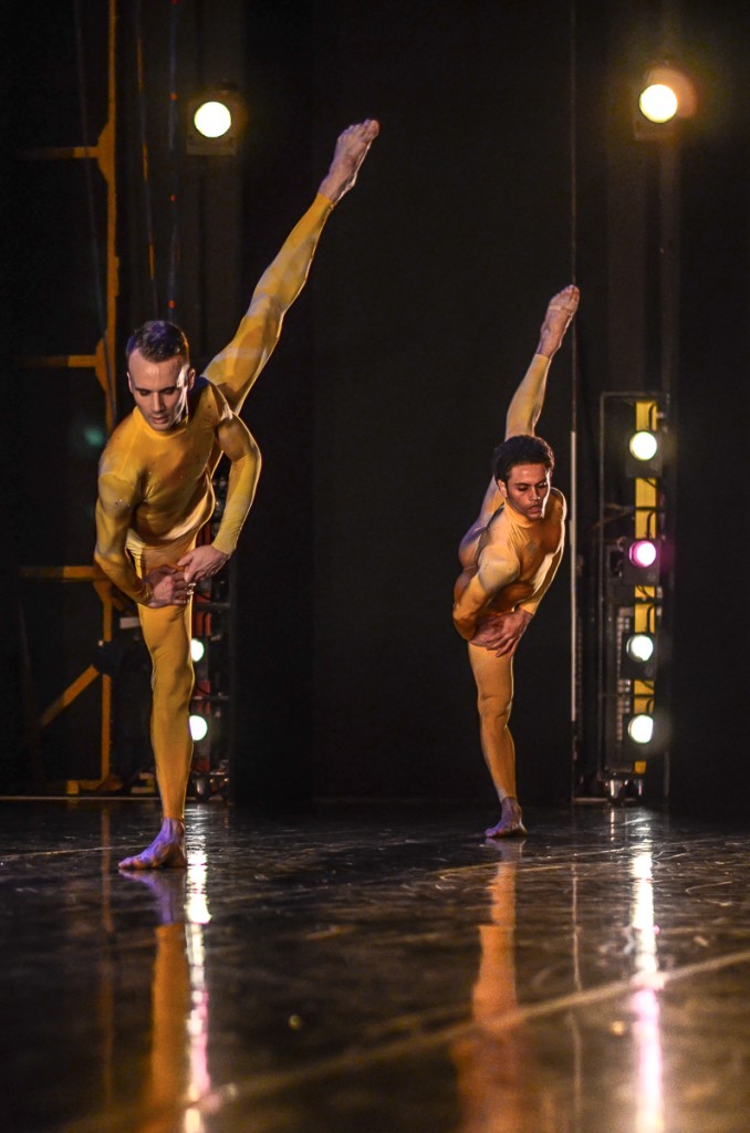 Stephen Wright – View from the wings and catching the perfection of ...