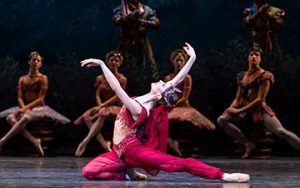 Gallery – Korean National Ballet at the 2014 Korean Ballet Festival ...